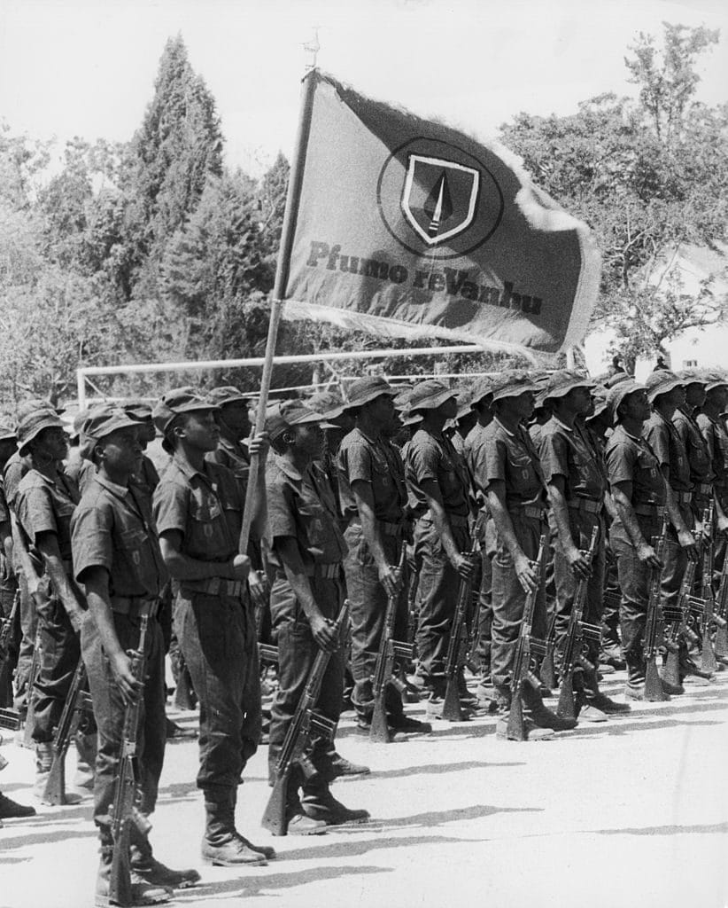 Nyaminyami: The Zambezi River God | PAMUSOROI!